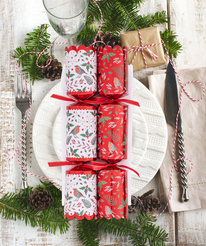 Charity Christmas Crackers | Dogs Trust Christmas Crackers – Dogs Trust ...