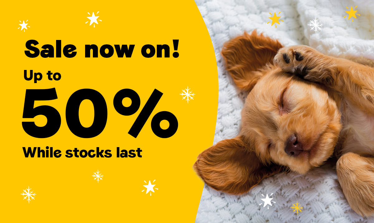 Dogs Trust Gifts