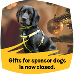 Donate to Dogs Trust – Dogs Trust Gifts